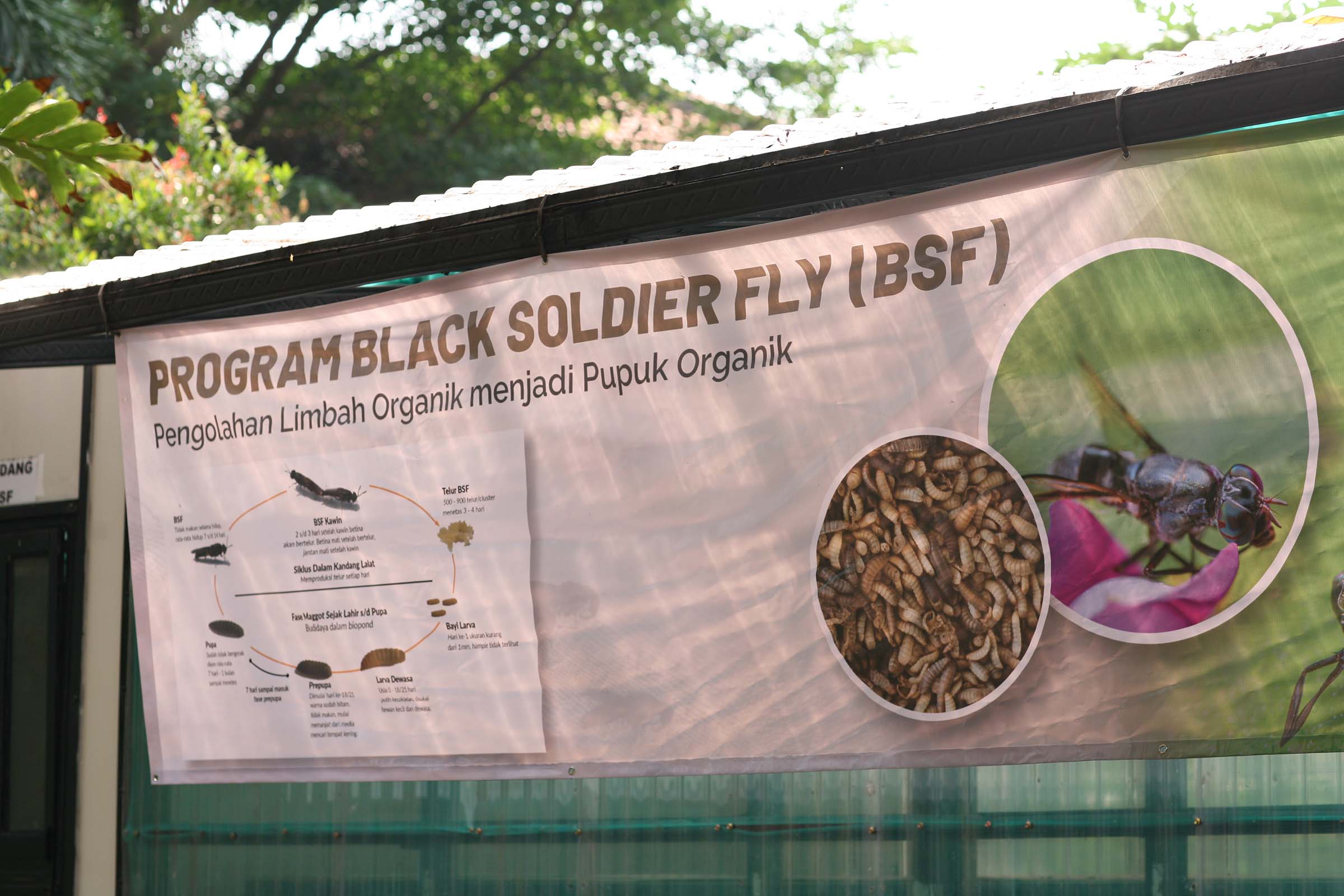 Managing Organic Waste - Yayasan Bakti Barito